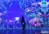 차원이 다른 제주 아르떼뮤지엄 티바 카페 입장료 할인 제주도 실내데이트 관광지 네이버 블로그